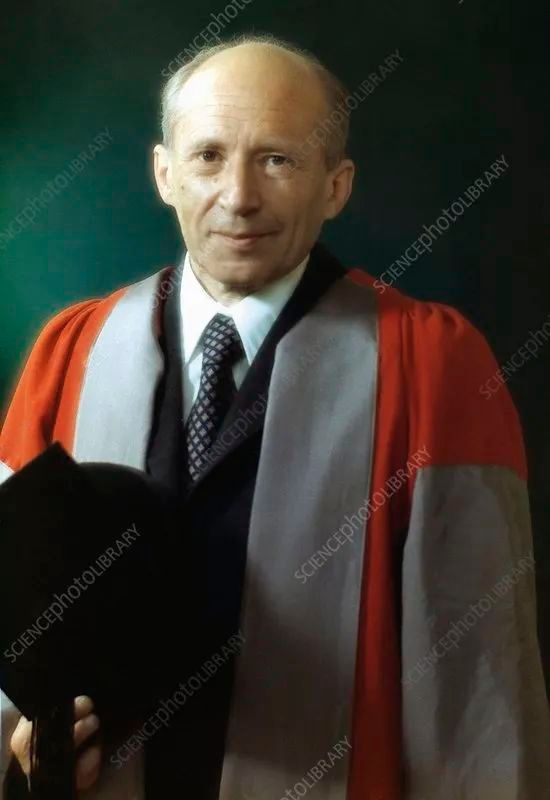 Gelfand, who foresees a story that has not yet ended - iNEWS