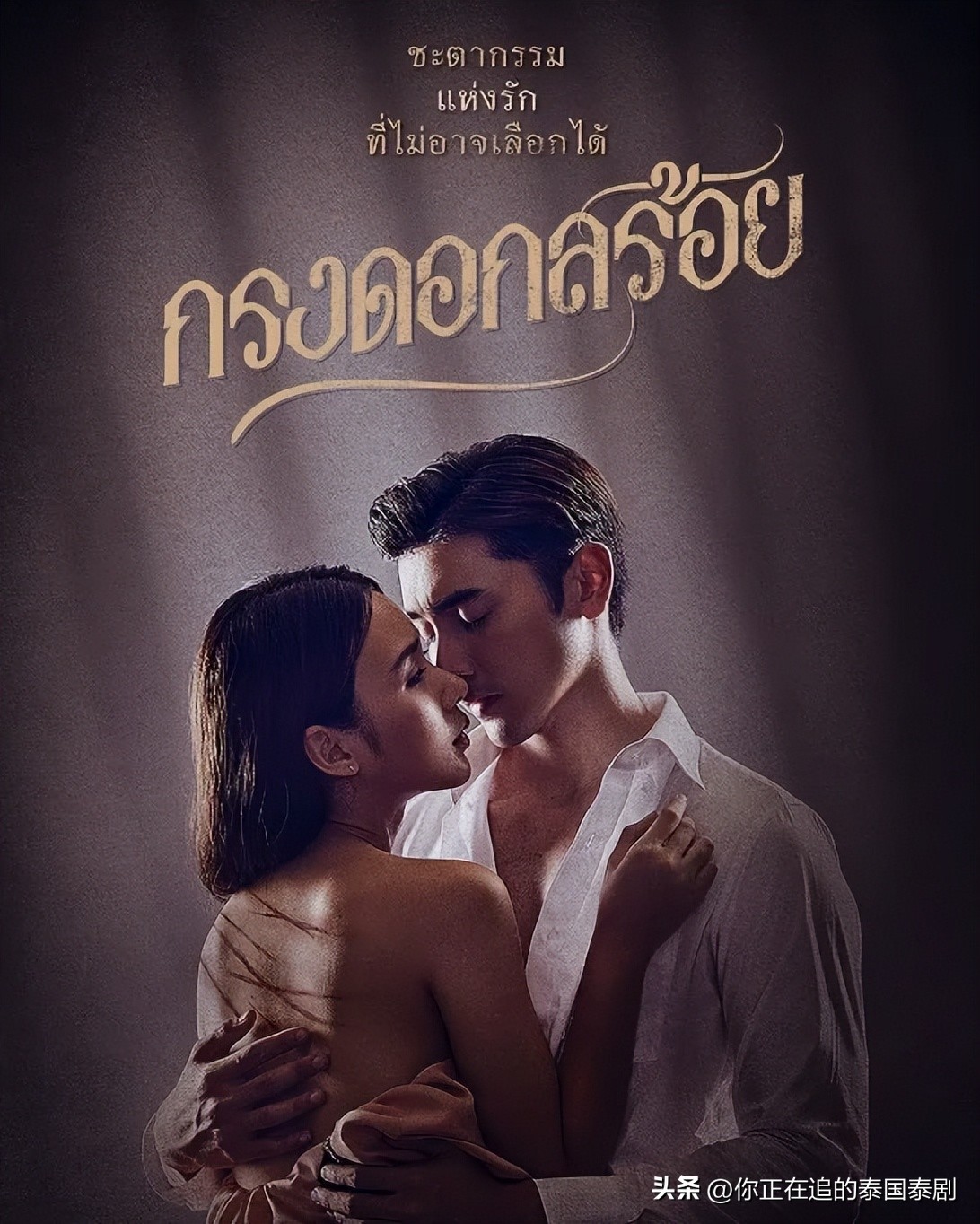 Three Thai dramas "The Cage of Flowers" have a strong cast! Thai idol ...