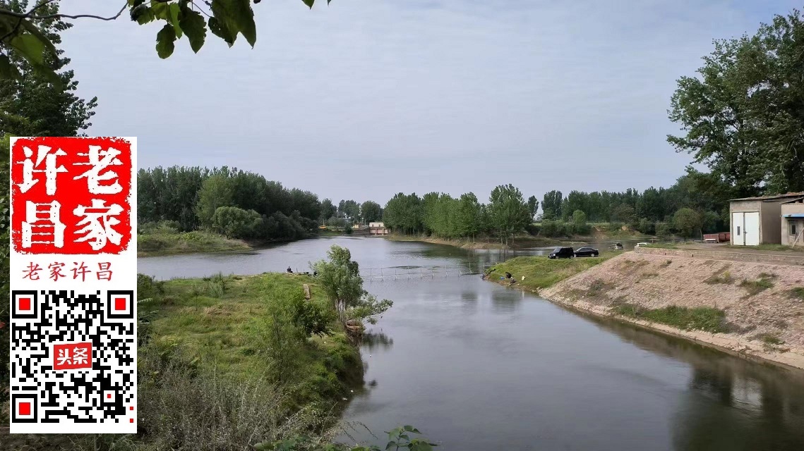 Youfang Li on the Bank of the Yinghe River in Xuchang - iNEWS