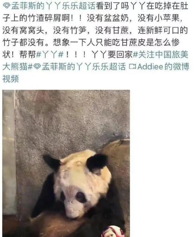 Belittling Yaya, helping the United States to whitewash, pouring water ...