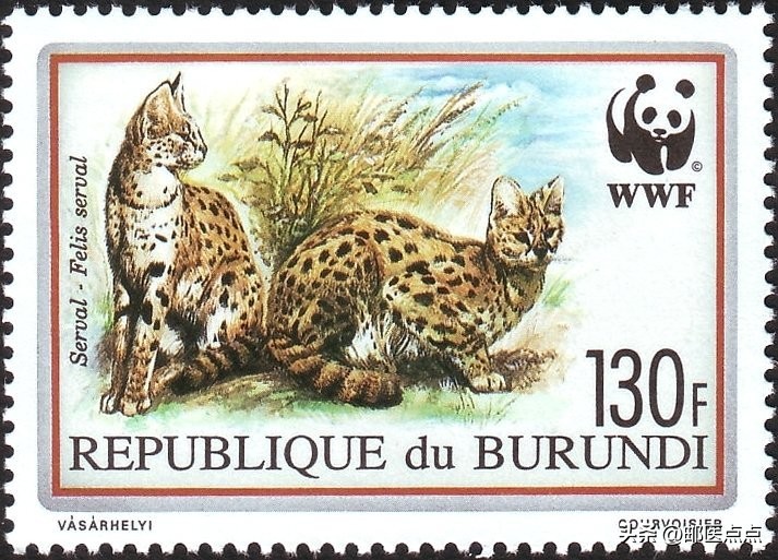 World Endangered Wildlife Stamps (13) - iMedia