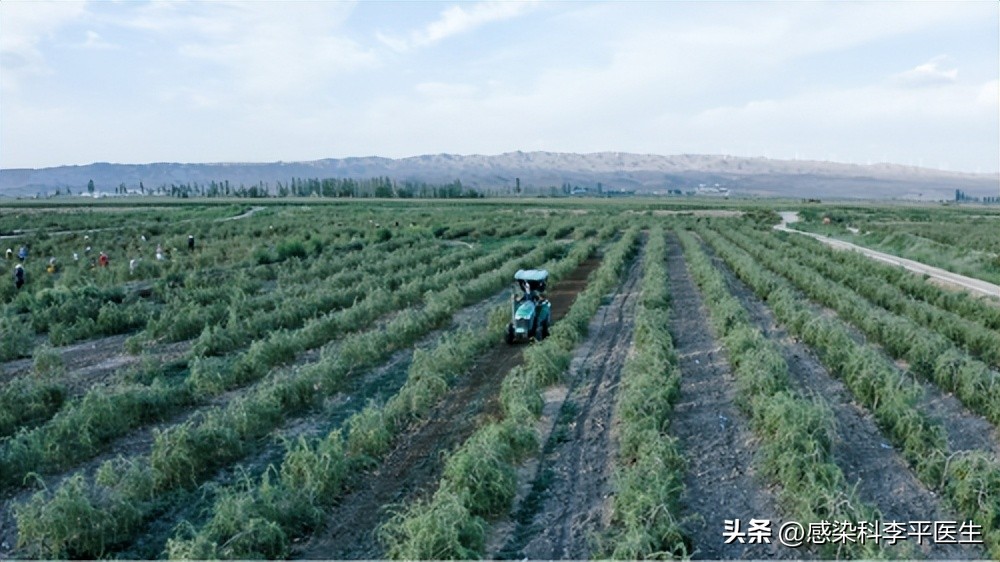 Organic smart agriculture: the environmental protection road of Amway ...