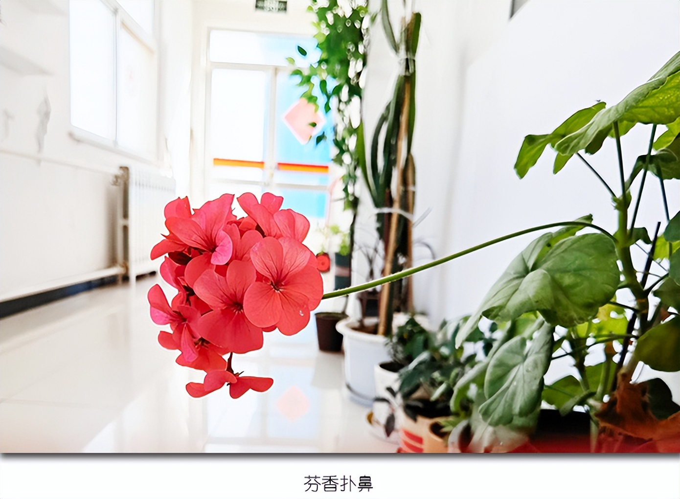 A mountain of spring cannot be hidden, the most beautiful April day in ...