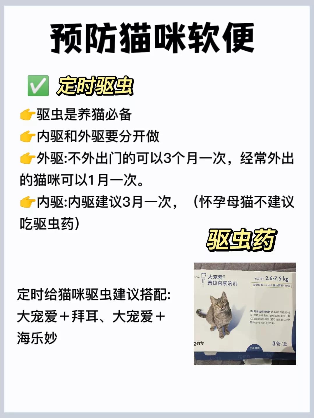 It may be because of these reasons that cats have soft stools - iNEWS