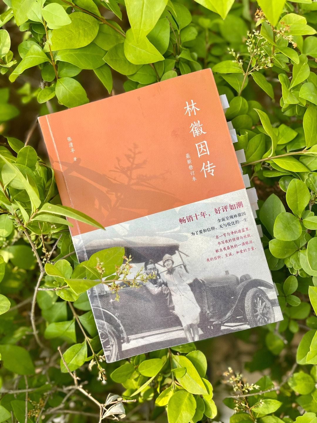 "The Biography of Lin Huiyin": Looking for the eternal lamp in the ...