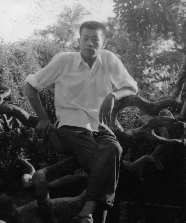 What kind of existence is Wang Xiaobo? - iNEWS