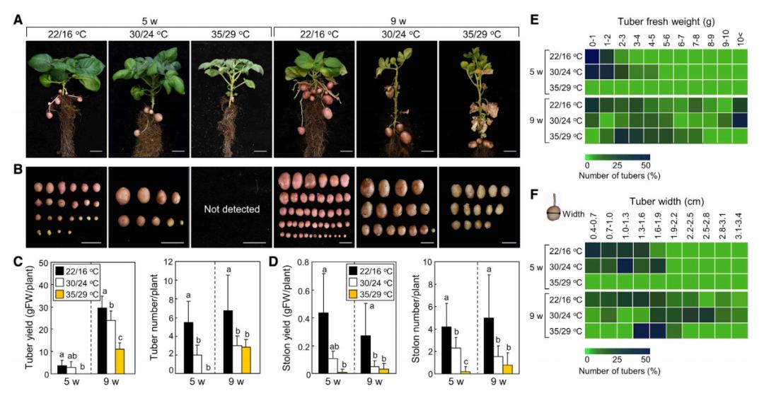 "Cell Reports" Korean scholars reveal the molecular mechanism of high ...