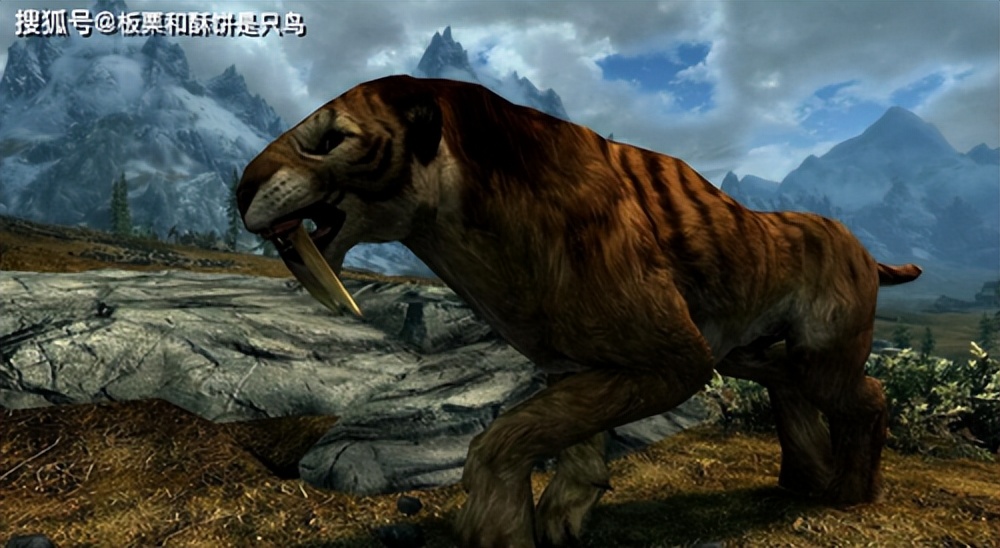 62 million years ago, the terrestrial giant bird, the overlord of the ...