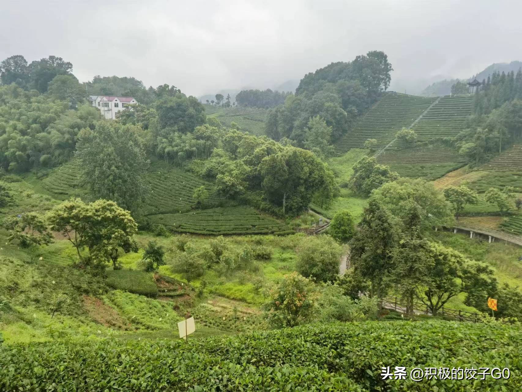 The government cooperates with tourism enterprises to promote the ...