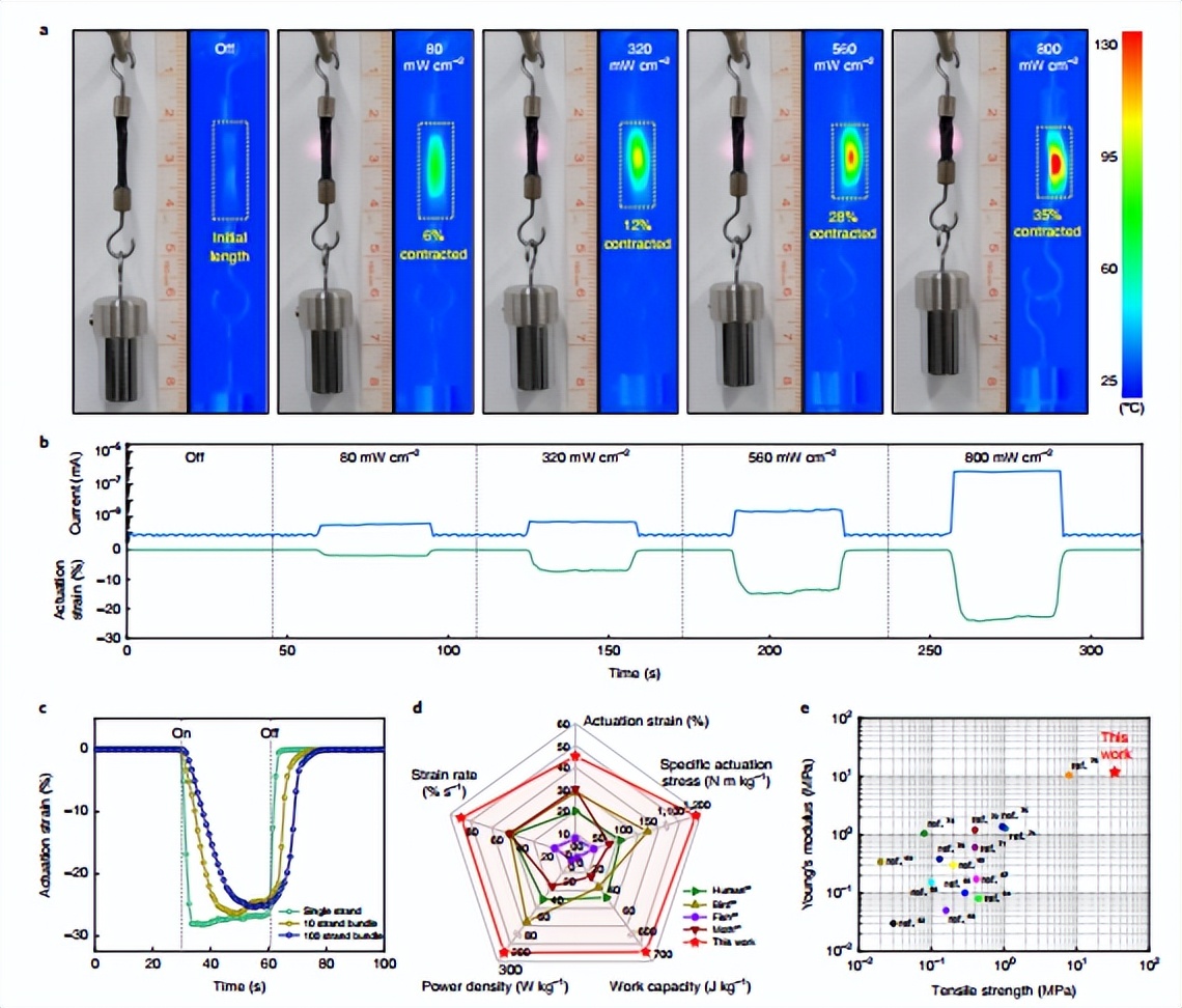 Research Frontier: Nature Nanotechnology-Artificial Muscle - iNEWS