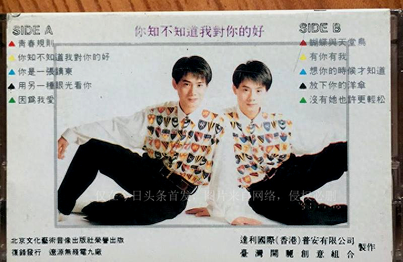 Chu Qi and Chu Tong succeeded in imitating the Little Tigers, but then retired when they were ...