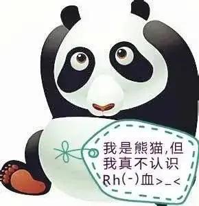 What exactly is panda blood?Why is panda blood so precious? - iNEWS