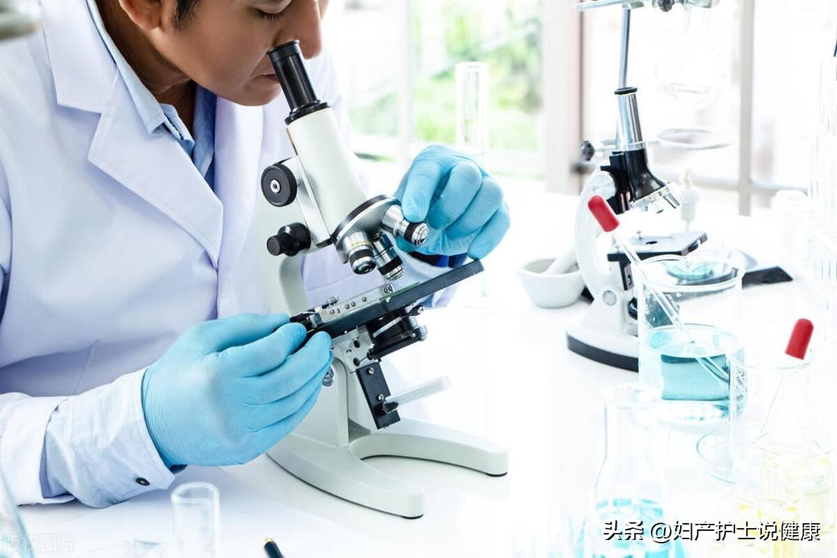 Leucorrhea examination, a topic that women cannot avoid, come and stock ...
