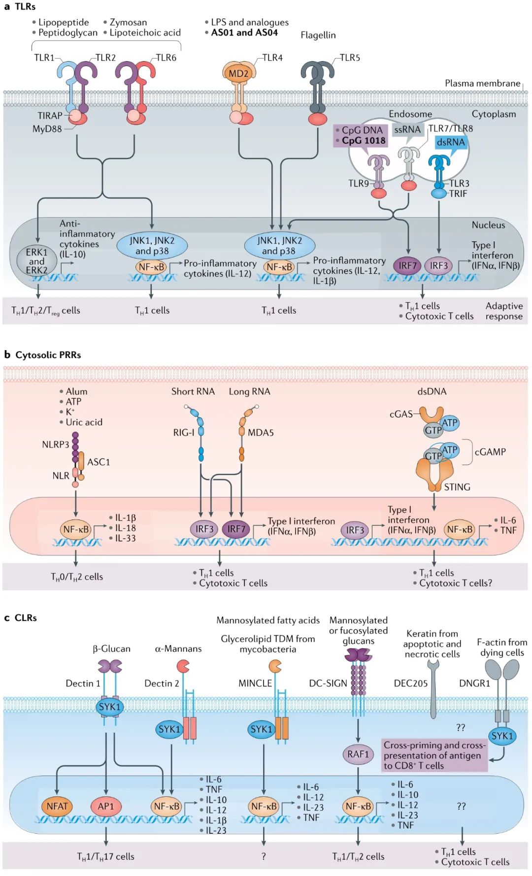 A century of vaccines - iNEWS
