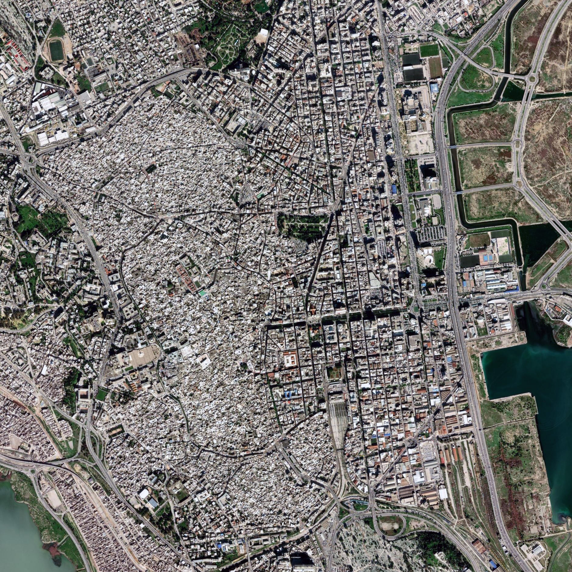 Carthage: One "city" is successful and thousands of bones are dead, but ...