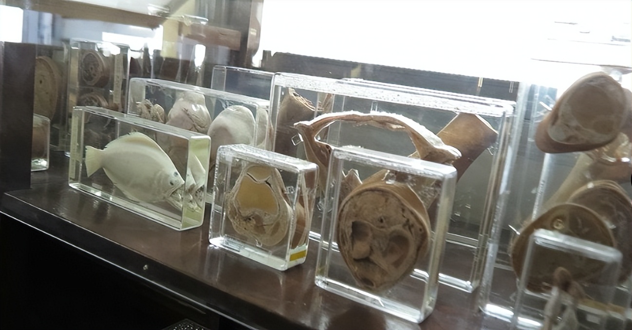 Called the world's most terrifying, Thailand's "Death Museum" exhibits ...