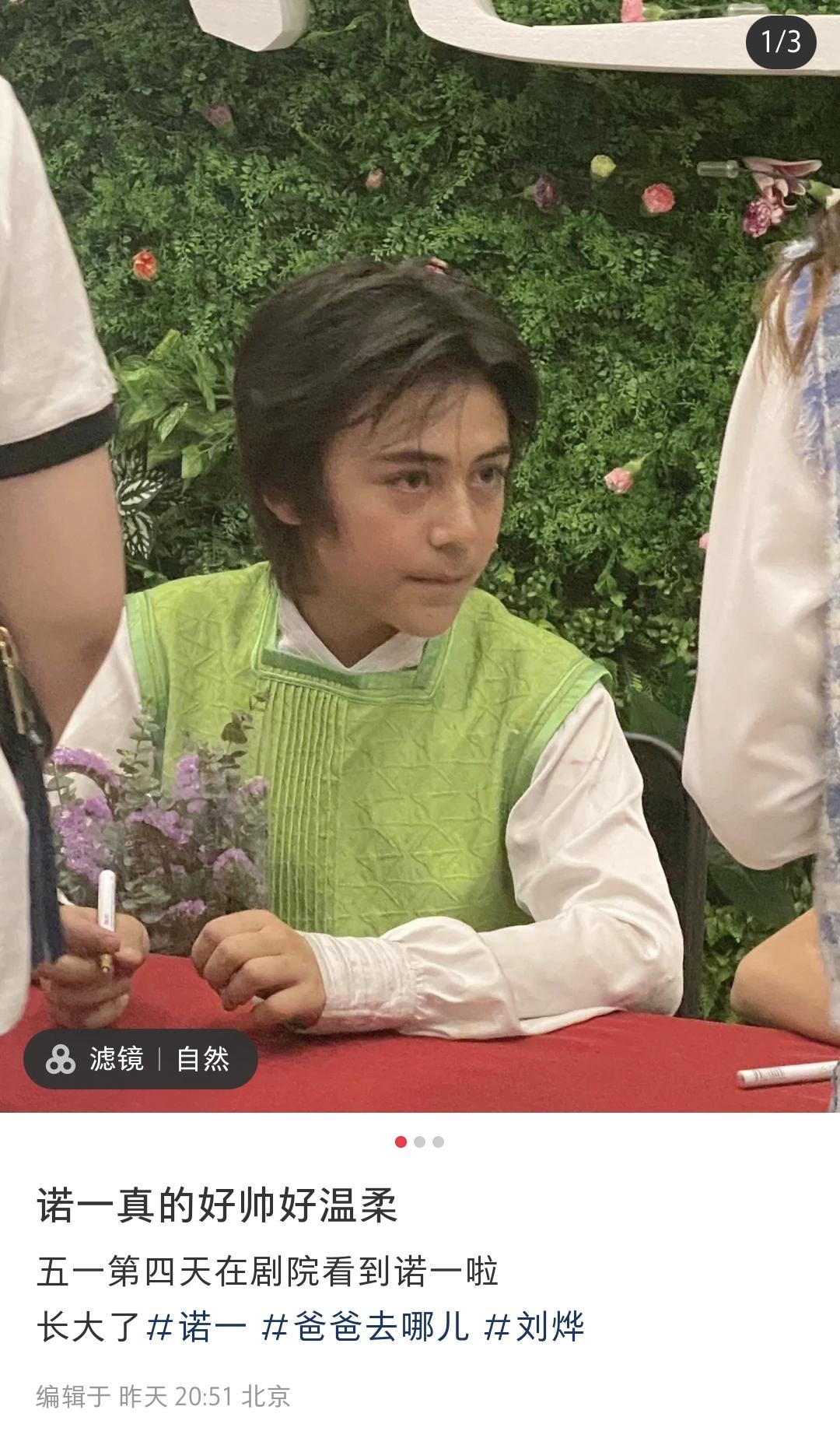 The children of Liu Ye and Mei Ting starred in the drama, Nuo Yi's ...