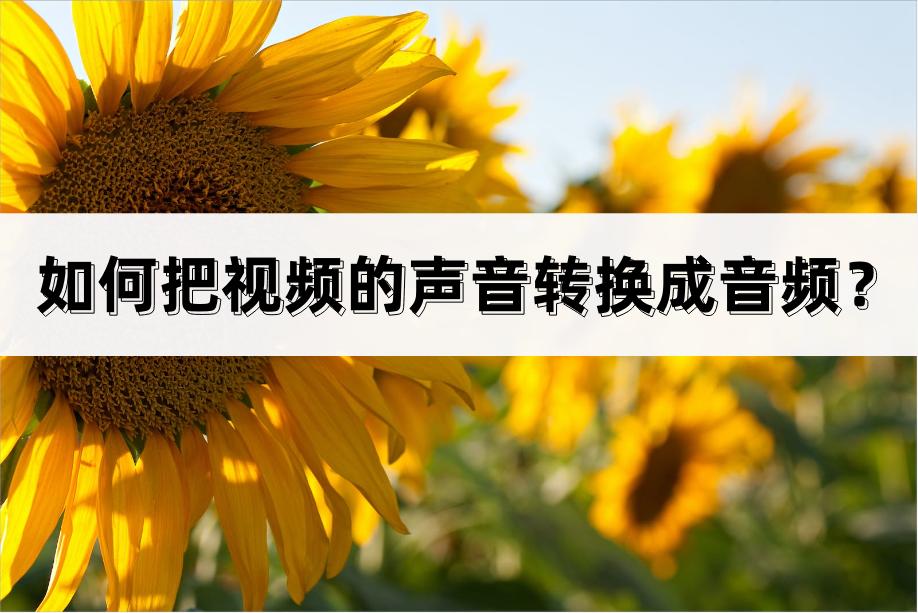 How to convert video sound to audio? easy way to share - iNEWS