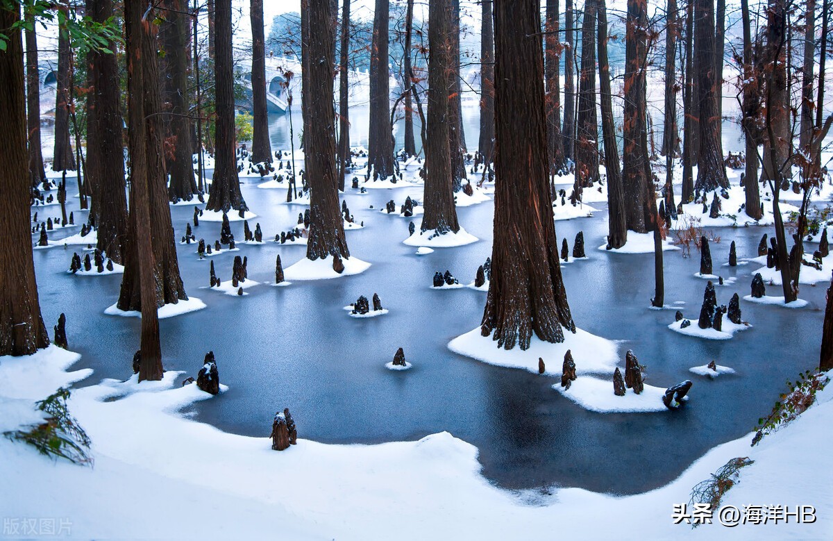 How to take pictures in snowy days, record a snow in Wuhan in 2023 - iMedia