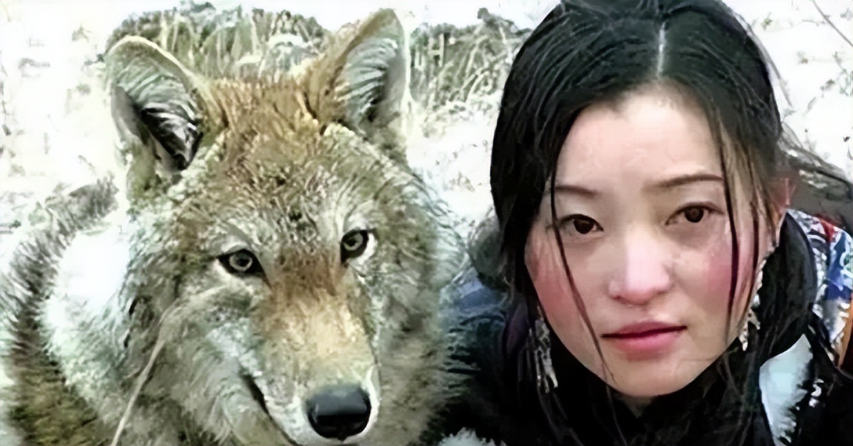 Twelve years ago, a Chengdu girl took care of the wolf as her son, and ...