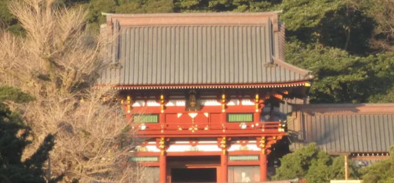 Why is the Hojo family, who controlled the real power of the Kamakura ...