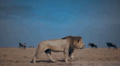 "28" top BBC documentaries, collect them and watch them slowly! - iNEWS