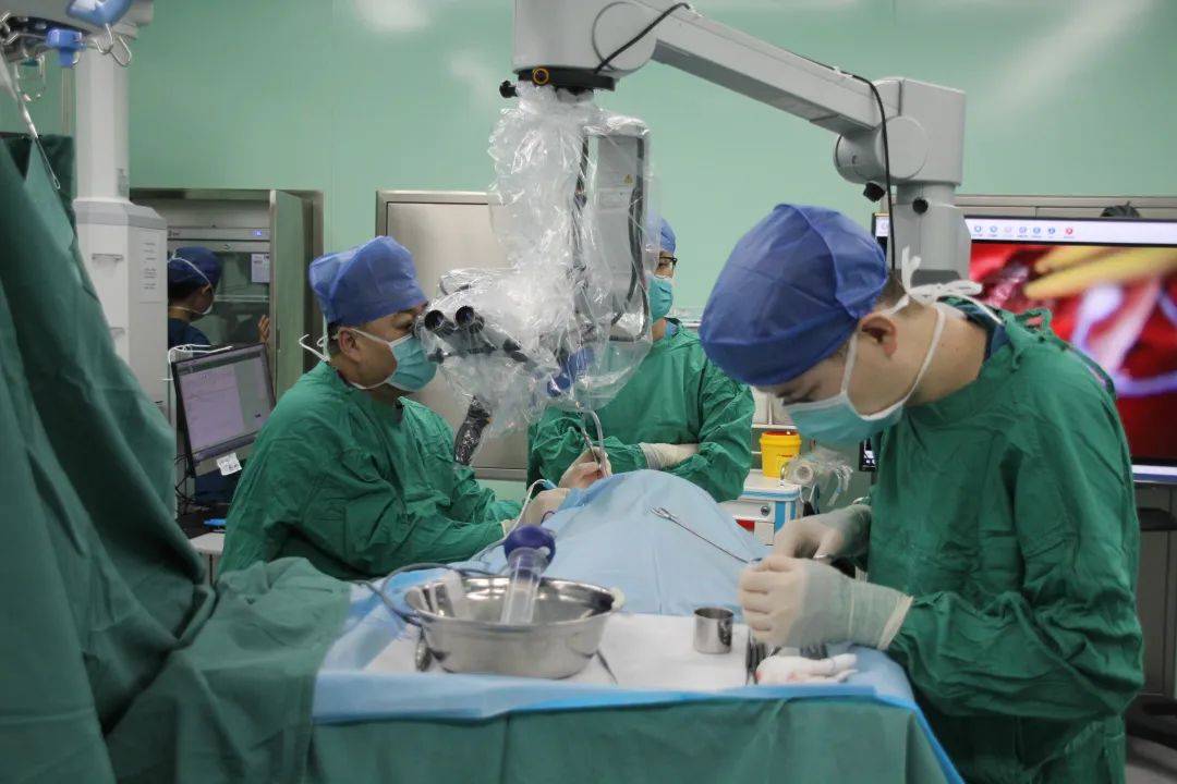 The culprit of dizziness and unsteady walking is the "pearl" hidden in ...