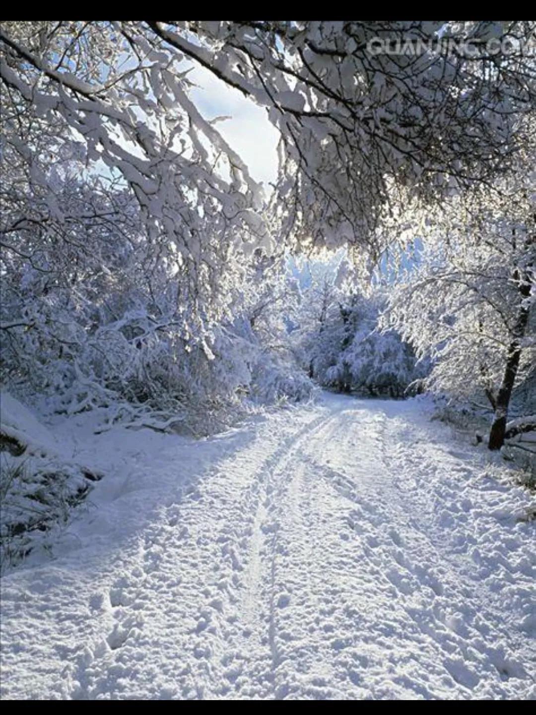 After autumn, winter is coming - iNEWS