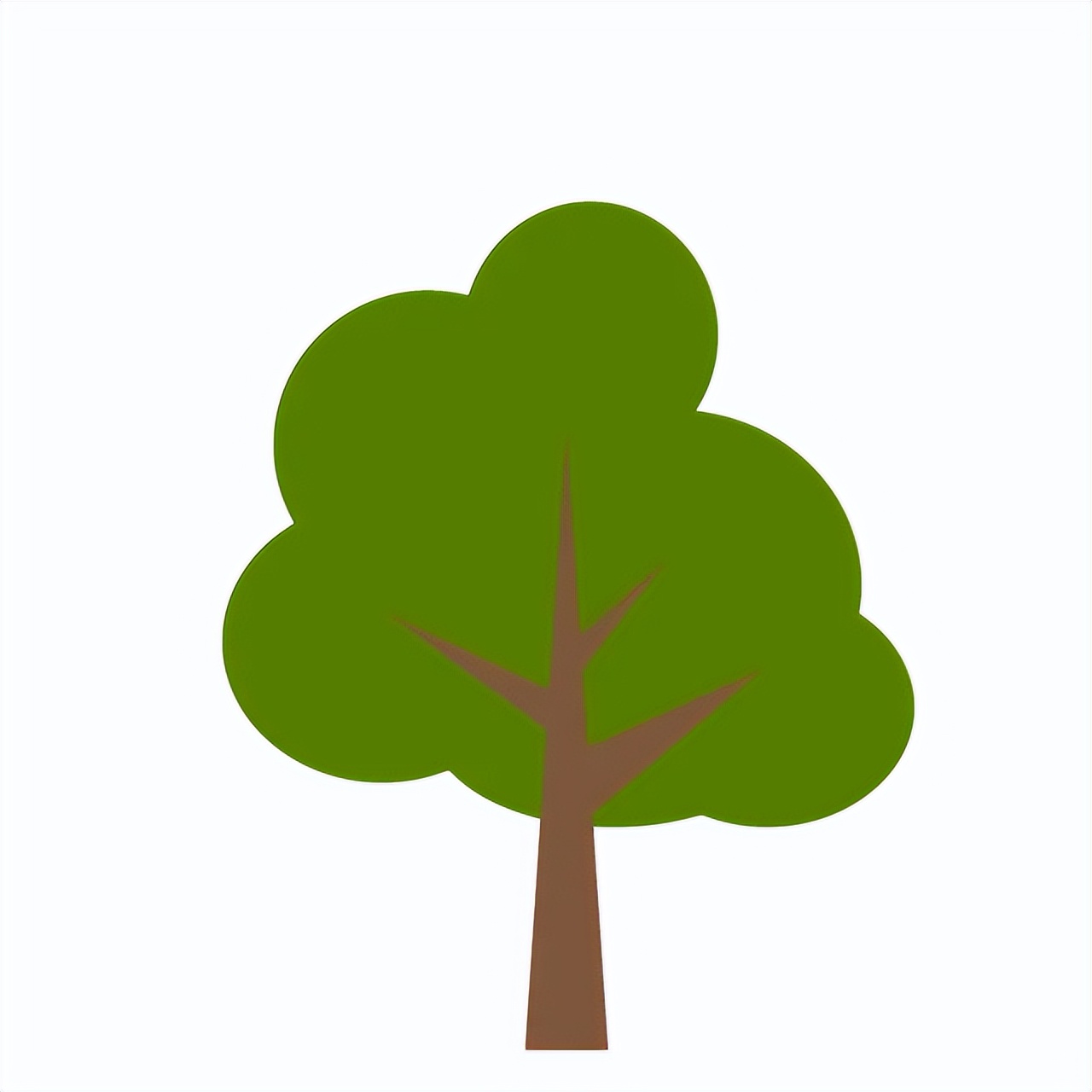 Are trees really bulletproof? Which trees can withstand the power of ...