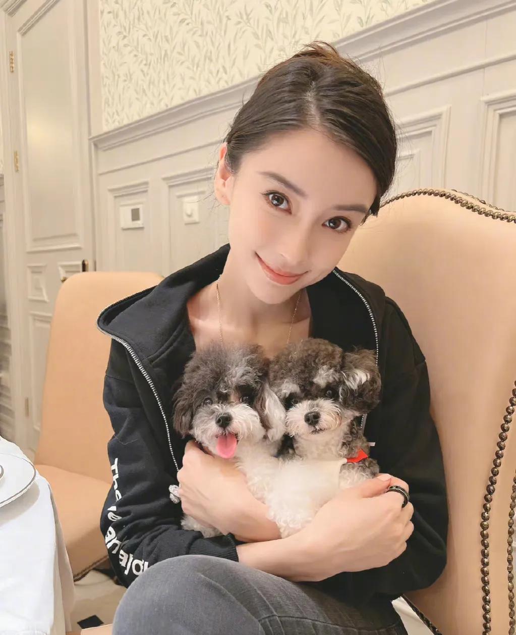 Yang Ying was rumored, Zhao Lusi's relationship was exposed, Han Anran ...