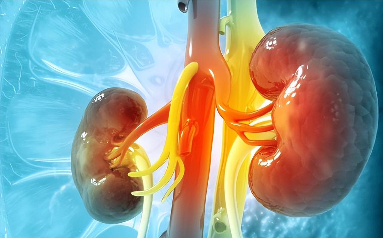 Based on the theory of "damp evil" in traditional Chinese medicine, the ...