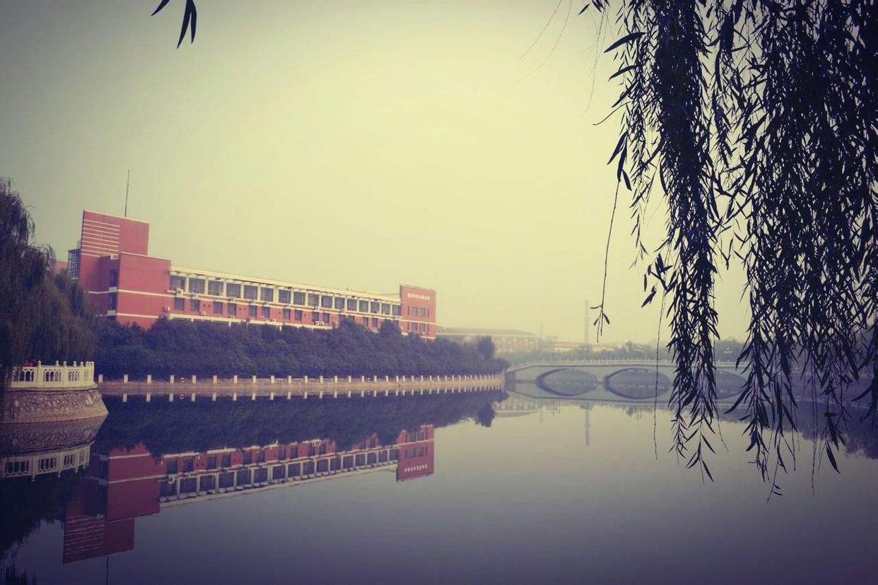 Don't worry about the shortage of books, these five novels with ...