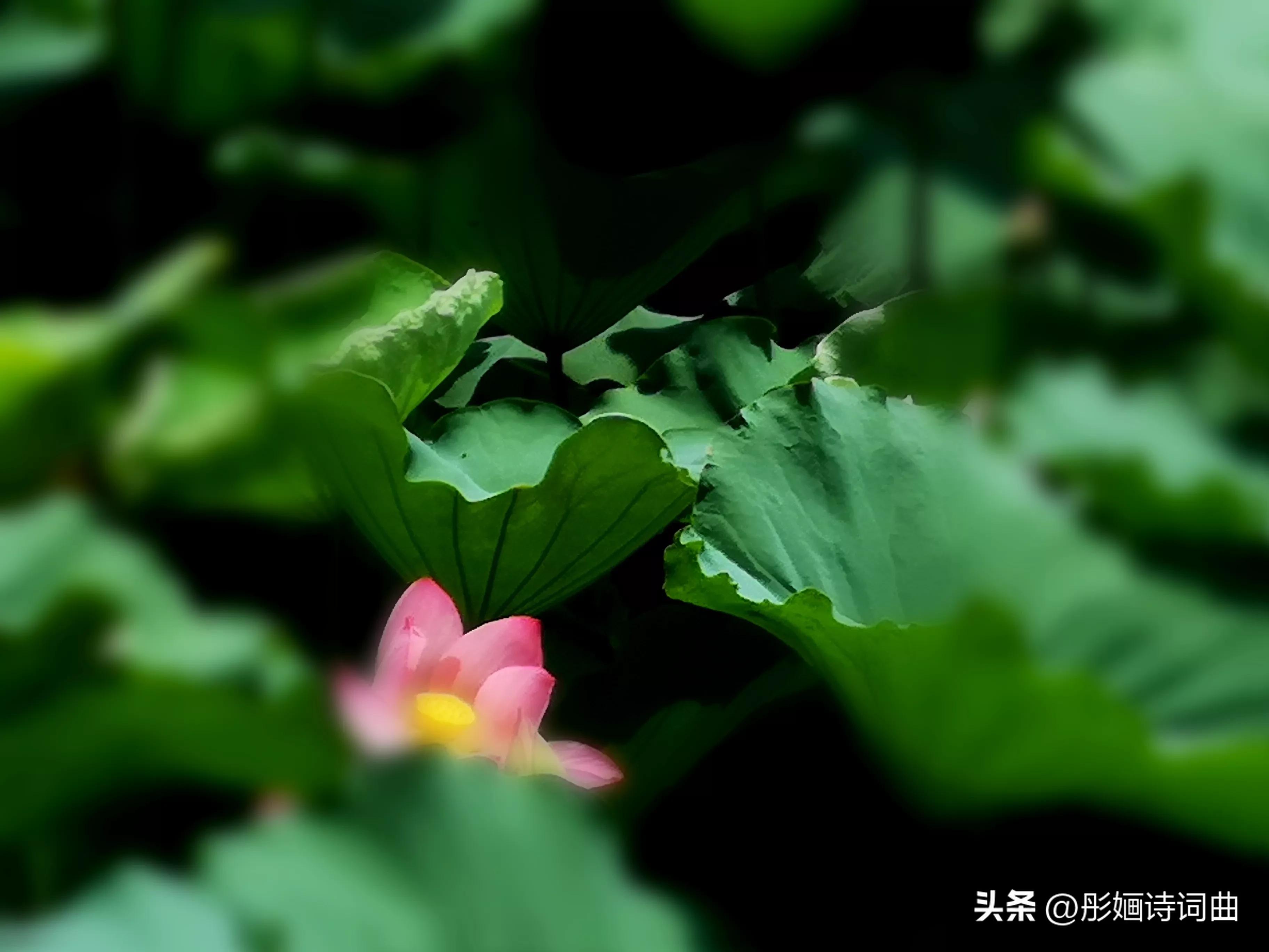 The distance is you, the charm in Yuefu poetry: a group of classical ...