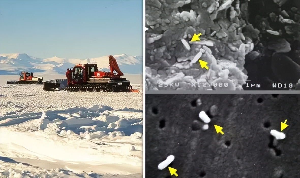 What lies under the Antarctic ice sheet? Scientists discover 'new world ...