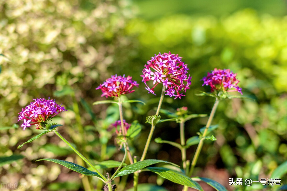 The Tang Dynasty poet Sikongshu wrote the vicissitudes of history in ...