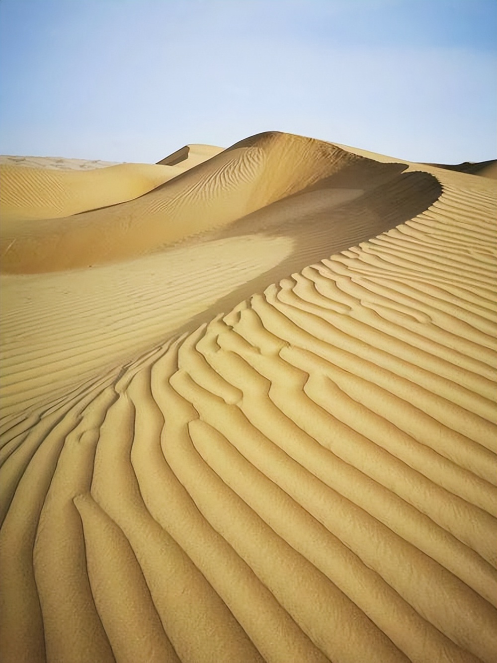 Taklamakan Desert & Tarim River#Xinjiang - iMedia