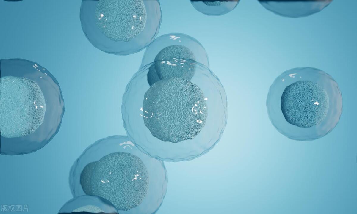 Stem cell therapy for 74-year-old and 20-year-old prostatitis patient ...