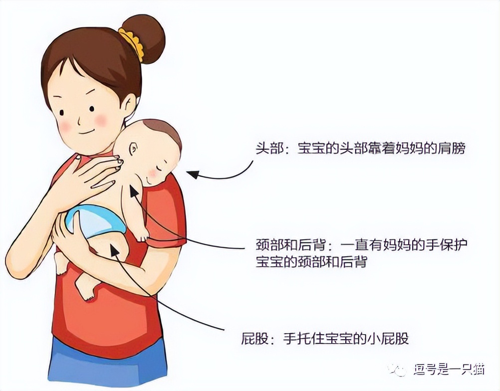 Novice mothers learn: Cui Yutao talks about natural parenting - iNEWS