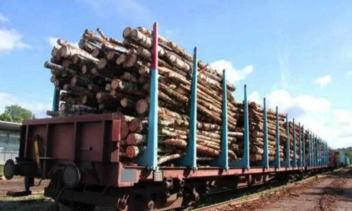 Russian timber is boycotted, China is the biggest winner? - iNEWS