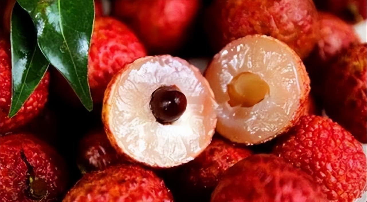 The bitter history of the ancients eating lychees: Qianlong harvested ...