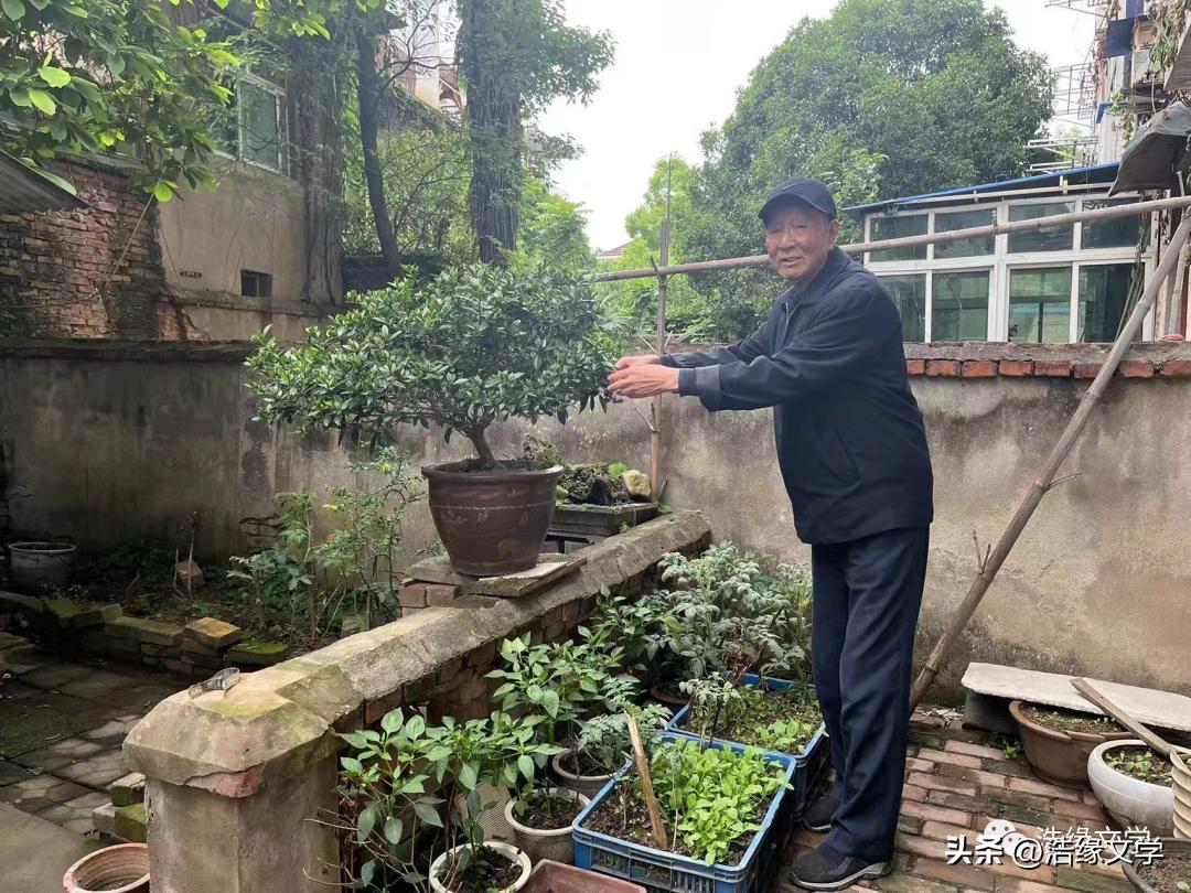 Hao Yuan's Prose: Talking about Yijiang River in the Fragrance of Rice ...