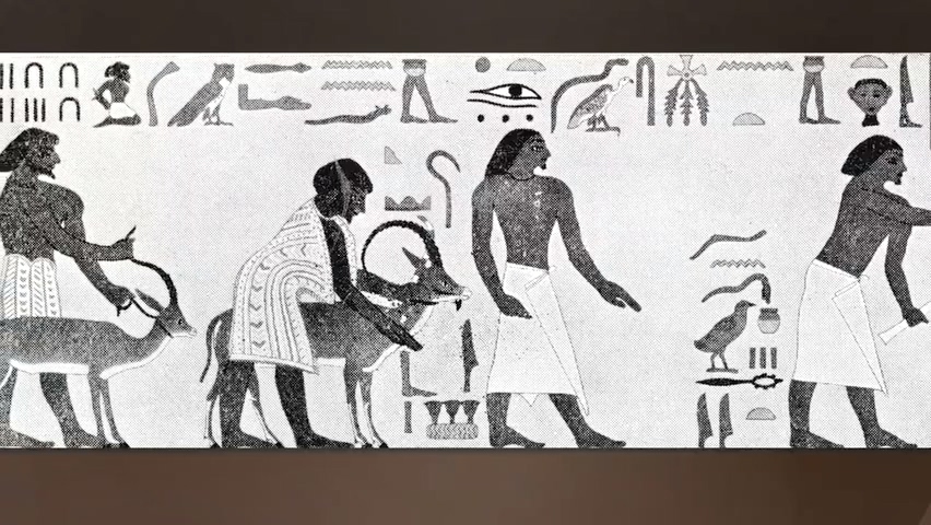 Chapter 5 - Pharaohs, Tombs and Gods - Section 1 - Hyksos Invasion and ...