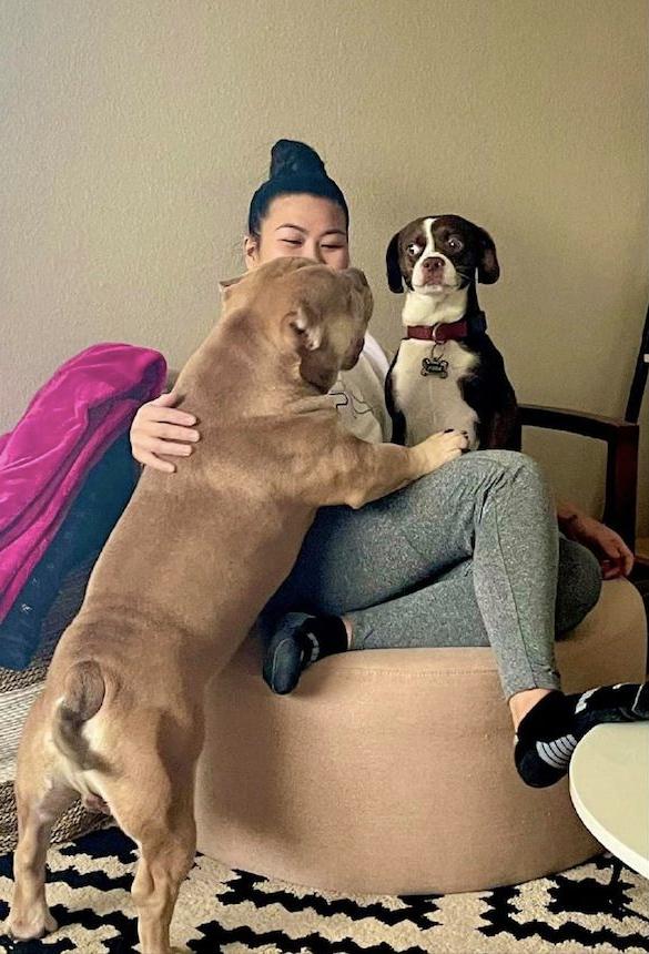 People who "raise male dogs" and "raise female dogs" lead completely ...