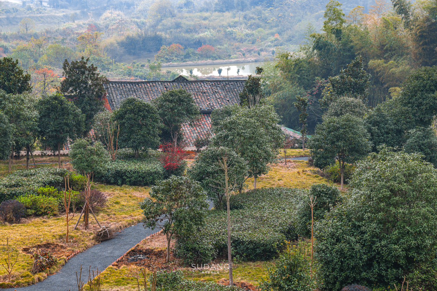 There is an ancient temple in Hunan, which is said to be guarded by the ...