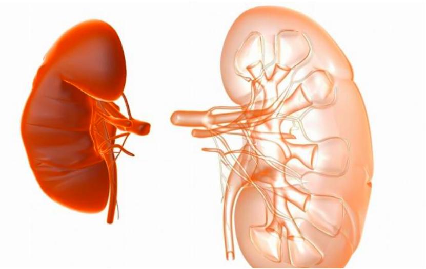 "Sufficient kidney qi, all diseases disappear", it is recommended to ...