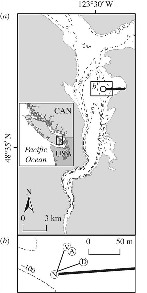 VENUS Cable Observatory Witnesses: Who is the master of "PlayerUnknown ...