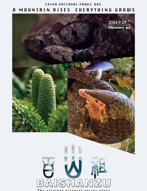 Documentary "Bai Shan Zu" aired on Discovery Southeast Asia Channel - iNEWS