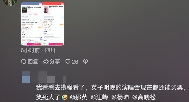 Na Ying's concert in Macau, fans held up a banner: Na Ying, you are the ...