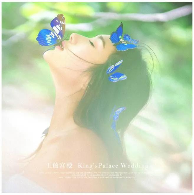 Between Dreams and Reality: One of Zhuang Zhou's Dream Butterflies - iNEWS