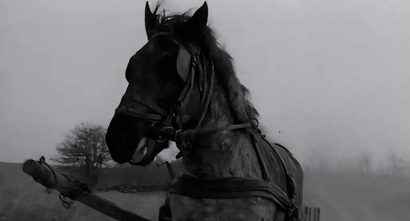 The Horse of Turin: Symbolism and Visual Charm in a Fantasy World - iNEWS